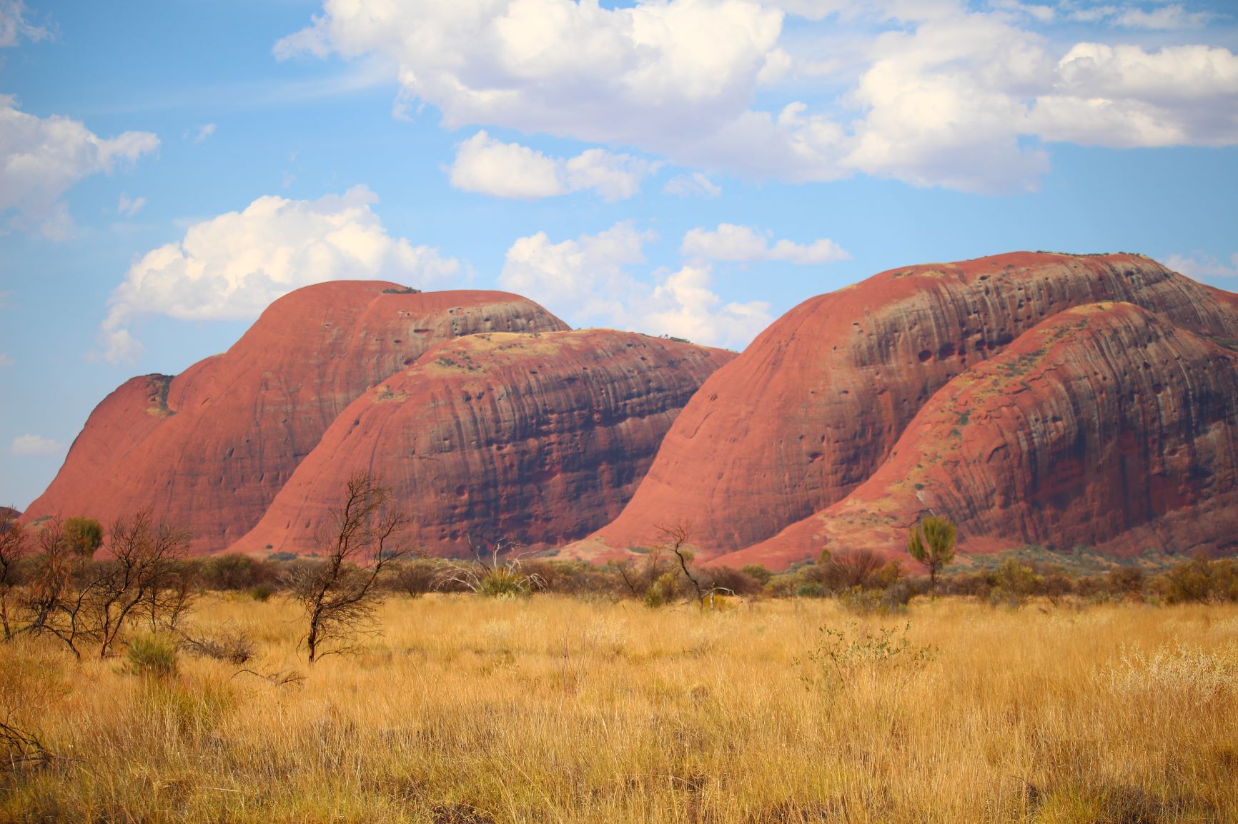 Home - NT Lived Experience Network
